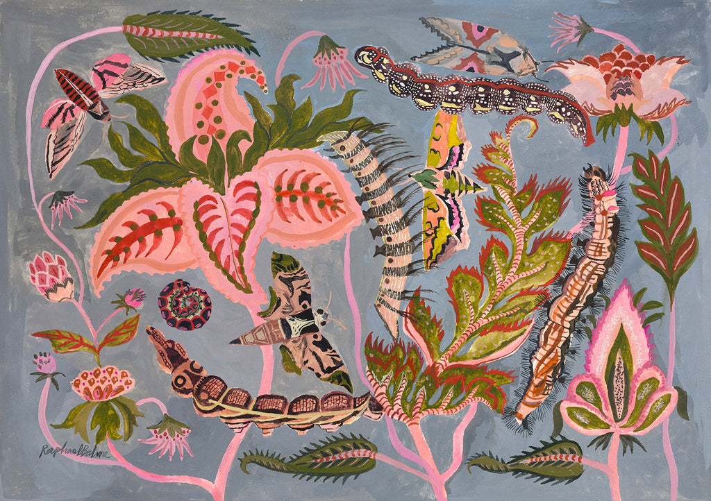 Metamorphosis (Print) – THE SHOP FLOOR PROJECT ltd