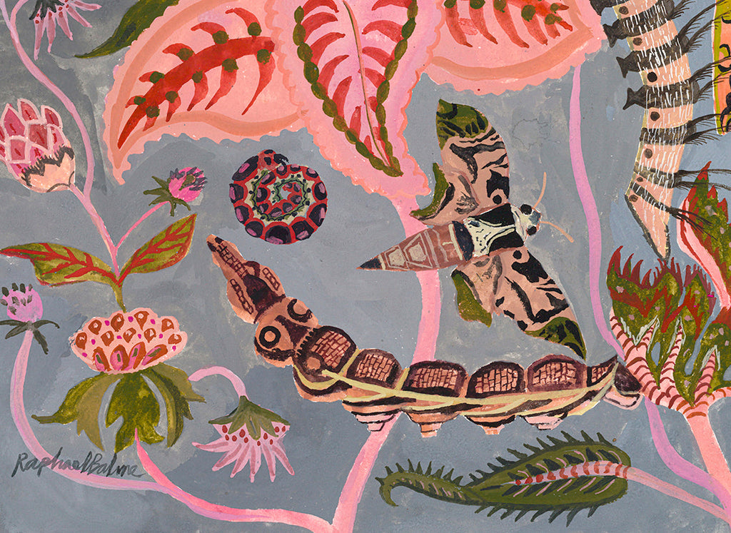 Metamorphosis (Print) – THE SHOP FLOOR PROJECT ltd