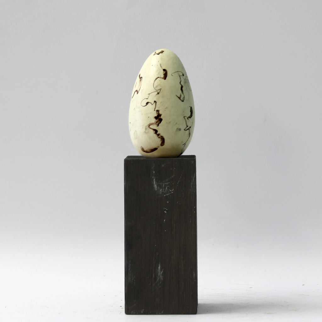 Razorbill - Museum Egg (with stand) – THE SHOP FLOOR PROJECT ltd