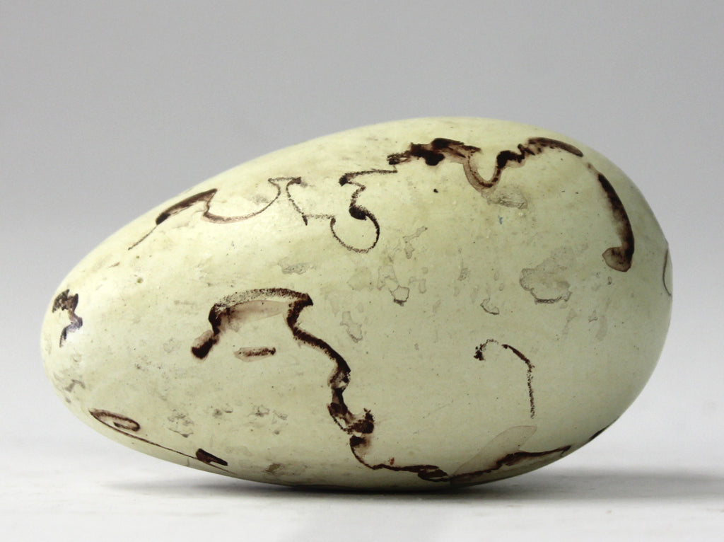Razorbill - Museum Egg (with stand) – THE SHOP FLOOR PROJECT ltd